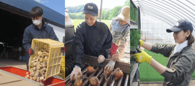 1日体験 daywork｜JAきたみらい